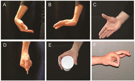 Wrist Flexion And Extension