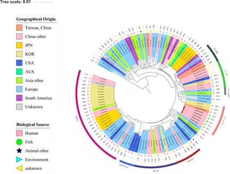 Multi Locus Sequence Cluster Analysis Of The Five Isolates And The Download Scientific