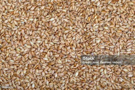 배경 황금 아마 씨 질병을 예방 하 고 치료 하는 미 량 영양소가 유기 체에 유익 합니다 섬유질과 영양분이 풍부 합니다 씨앗에