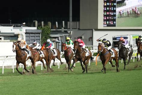 馬場密探048祥勝力駒首捷爆冷 星島日報