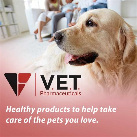 Hemablock Hemostatic Powder 2 Gm Tube Sachet 5 Pack — Lambert Vet Supplies
