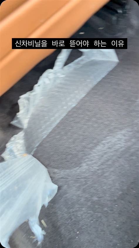도롱뇽 신차비닐은 신차뽑고 바로 뜯어야하는이유가 바로 이거 차사고 4년만에 뜯으면 늘러 붙습니다 신차 신차검수 신차