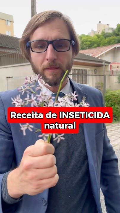 Inseticida Natural Youtube