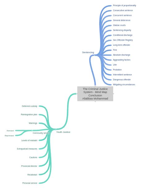The Criminal Justice System Mind Map Conclusion Aliabbas Mohammad