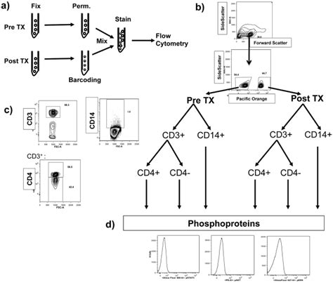A Fixation Permeabilization Fluorescent Barcoding And Surface And