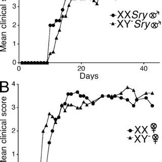 The XX Sex Chromosome Complement As Compared With The XY Confers Download Scientific Diagram