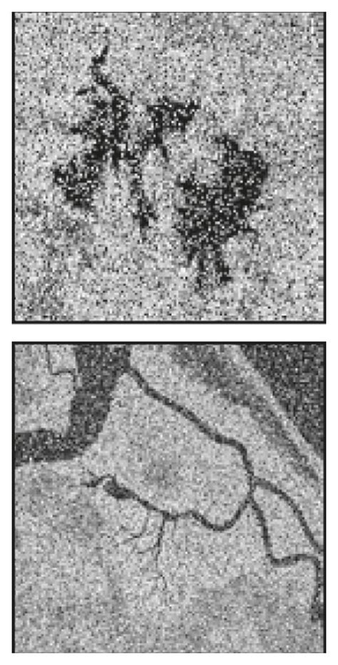 Remote Sensing Images With Salt And Pepper Noise And Segmentation Download Scientific Diagram