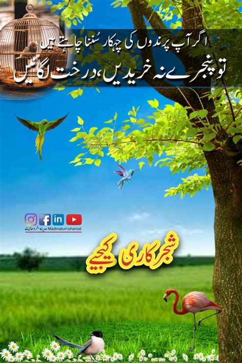 Muhammad Akmal Khan On Linkedin Madinaturruhaniat