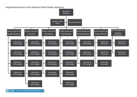 Template Organizational Chart Of The Laboratory