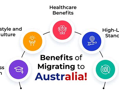 Migrating Projects Photos Videos Logos Illustrations And Branding Behance