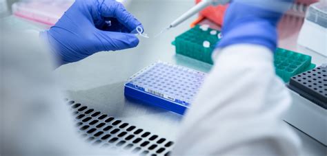 Oxford Vaccine Against Deadly Nipah Virus Granted European Medicines Agency Prime Designation