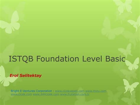 Istqb Foundation Level Basic Pdf