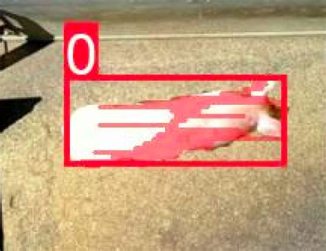 Distorted Masks For Segmentation · Issue 4786 · Ultralytics