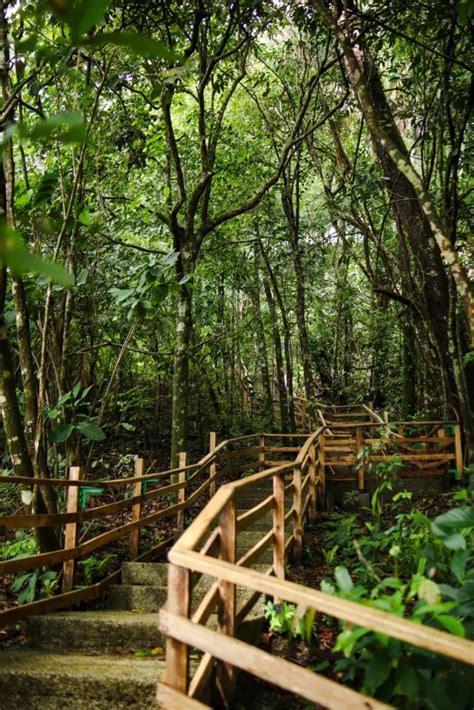 The Ultimate Manuel Antonio National Park Guide For First Time Visitors