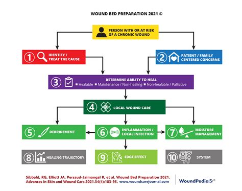 Chapter Introduction And Statement Skin And Wound Care For Health Care Professionals