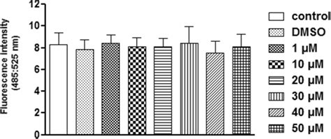 Neutral Lipid Quantification On T Cruzi Epimastigotes In The Presence