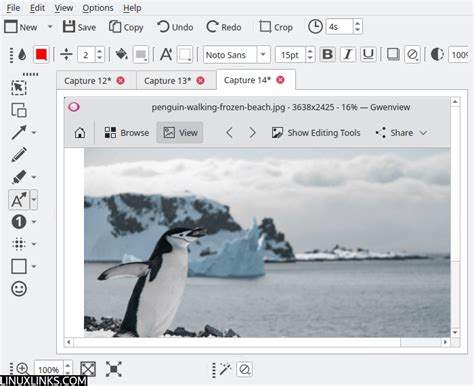 Best Free And Open Source Alternatives To Corel Capture LinuxLinks