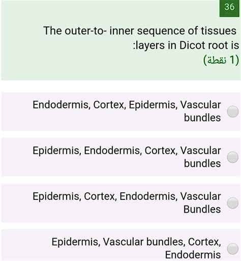 Solved The Correct Outer To Inner Sequence Of Tissues Layers In A