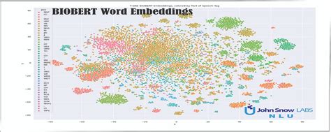 1 Line To Biobert Word Embeddings With Nlu In Python By Christian