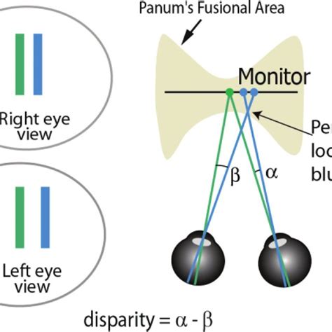Stereoscopic Depth Is Perceived From Disparities Between Features Download Scientific Diagram
