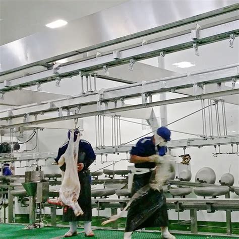 Customized Halal Lamb Meat Slaughter Process For Sheep Abattoir Sheep