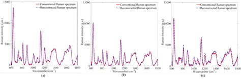 Comparison Between The Conventional Raman Spectra And Reconstructed