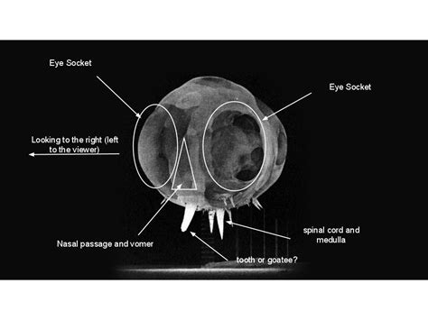 The First Millisecond Of A Nuclear Explosion Is The True Face Of Atomic