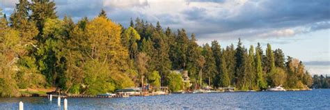 Tree Inventory Planning For Actionable Data Planit Geo™