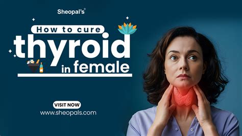 How To Cure Thyroid Problems In Women No One Talks About Sheopals