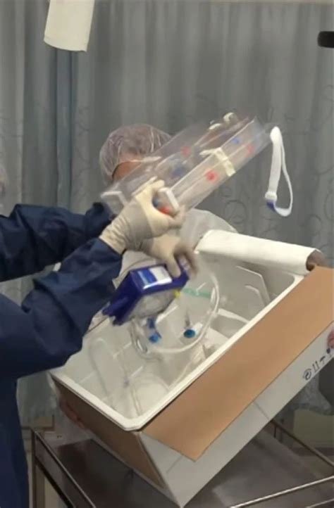 Ecmo Perfusion Cannula At ₹ 20650 In Ahmedabad Id 2855520260048