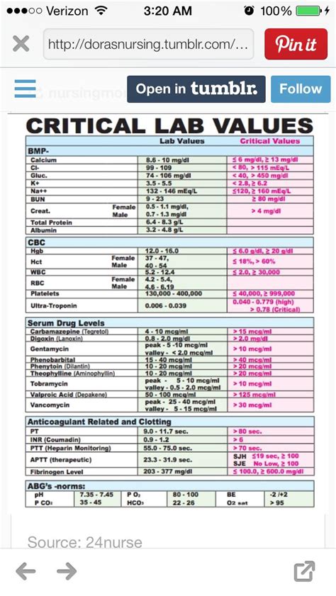 Pin By Meghan Markunas On Nursing Nursing School Nursing Labs