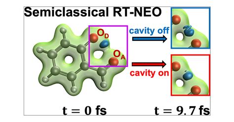 Semiclassical Real Time Nuclear Electronic Orbital Dynamics For Molecular Polaritons Unified