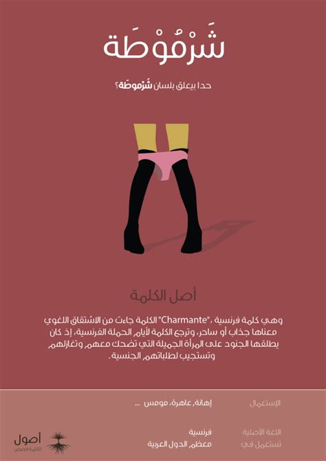 Arabic Words Phrases That We All Use Dont Understand Blog Baladi