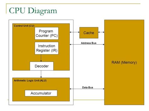 Differenza Tra Alu Arithmetic Logical Unit E Cu Control Unit Informatica E Ingegneria Online
