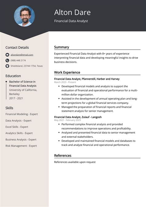 Financial Data Analyst Resume Example Free Guide
