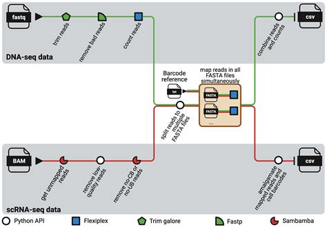 NextClone Nextflow Pipeline For Extracting And Counting Clonal Barcodes