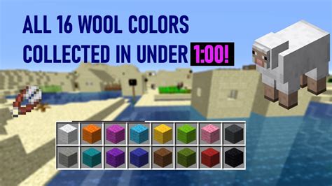 Minecraft All Wool Speedrun Collecting Every Wool Color In 48 890 Seconds Youtube