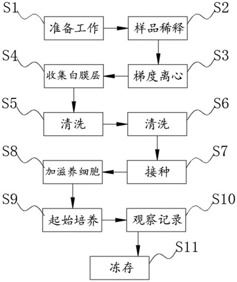 一种免疫细胞培养方法与流程 2
