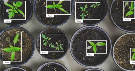 The Ultimate Guide To Data Labeling How To Label Data For Ml By Superannotate Geek Culture