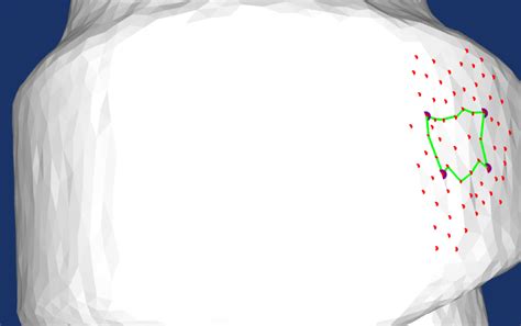 Point Inside A Quadrangle On An Irregular 3d Surface Rcompgeo