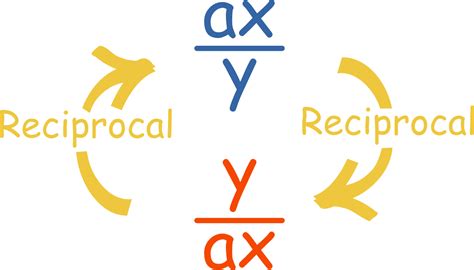 Reciprocal In Algebra