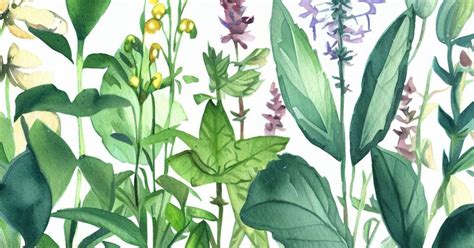 L Triptofano Mitos Y Verdades Sobre Sus Propiedades Medicinales Infobae