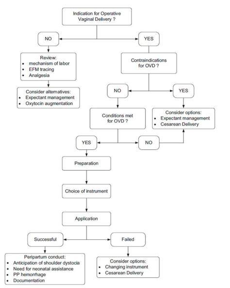 Vacuum Delivery Placement