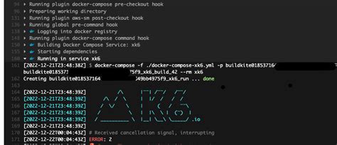 Run Xk6 Browser In Buildkite Pipeline Throws Panic Error K6 Browser