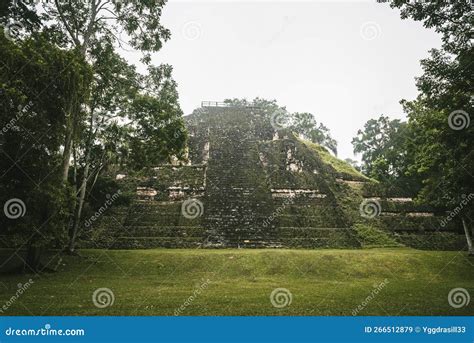 Pyramid Of The Lost World In Tikal Mayan City Stock Image Image Of