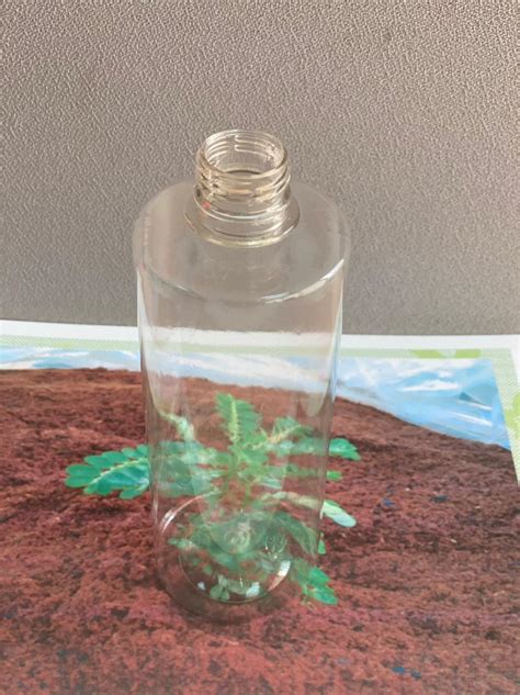 Certificates For Compostability Usa Overview Of Certificates Used