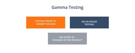 What Is Gamma Testing QATestLab