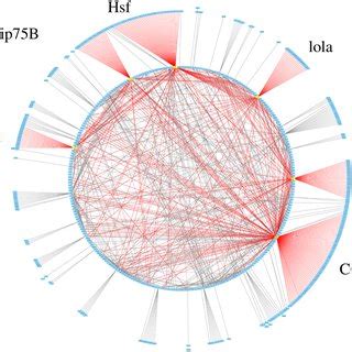 Hub Gene Analysis The Hub Genes Are Extracted From Top Most Download Scientific Diagram