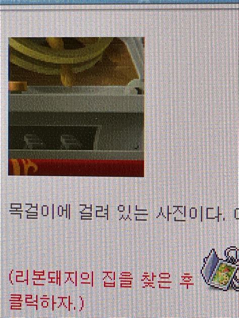 메이플스토리 리본돼지의 집 지식in