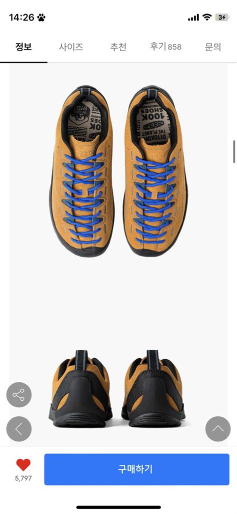 [잡담] 얘들아 신발 사려고 하는데 나 옷 좀 입는다 하는 사람 인스티즈 Instiz 일상 카테고리